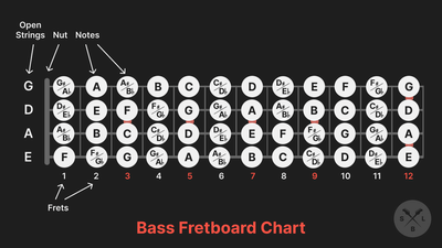 Blog: Bass Guitar Fretboard Charts: Understanding Your Bass at a Glance ...