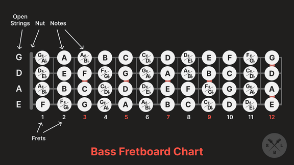 Blog: Bass Guitar Fretboard Charts: Understanding Your Bass at a Glance ...