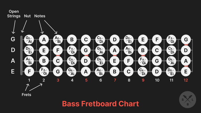 Blog: Bass Guitar Fretboard Charts: Understanding Your Bass at a Glance ...