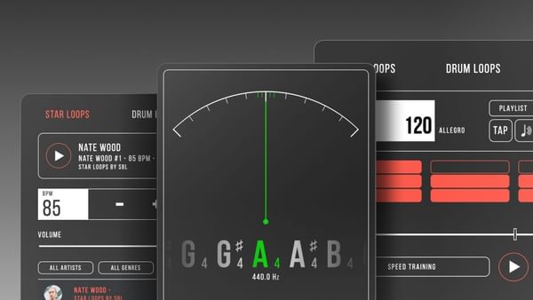 Beginner Journey – Scott's Bass Lessons